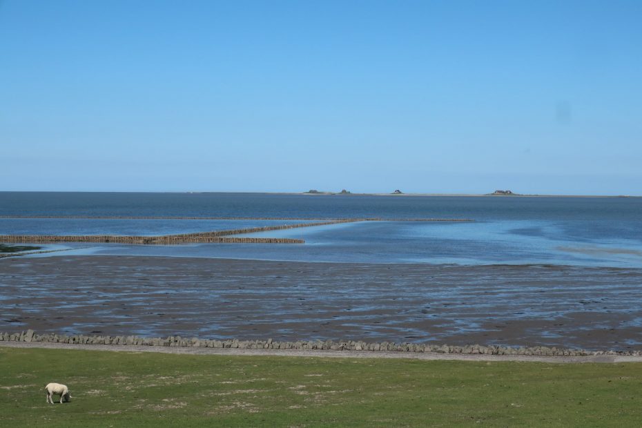 Die Halligen | Bilder von Irgendwo | Fotografie, Reiseberichte & Reisetipps